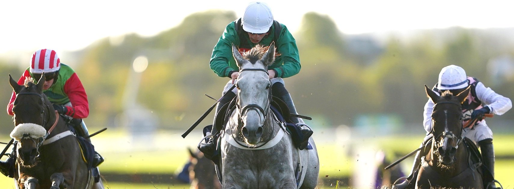 Stars Of The Week: Numitor features in Tom Collins' standout performers